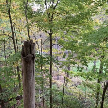 SPRING HOUSE INN - Updated October 2025 - 36 Photos & 65 Reviews - 303 ...