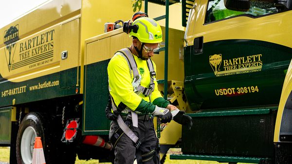 BARTLETT TREE EXPERTS - Updated December 2025 - 57 Photos & 23 Reviews ...