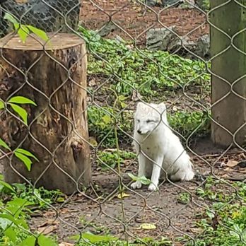 STONE ZOO - Updated December 2024 - 220 Photos & 197 Reviews - 149 Pond ...