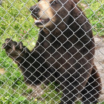 KISMA PRESERVE - Updated September 2024 - 30 Photos & 18 Reviews - 446 ...