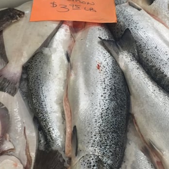 J DELUCA FISH COMPANY - Updated December 2025 - 56 Photos & 17 Reviews ...