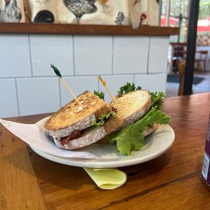 ELEPHANTS DELICATESSEN - 867 Photos & 805 Reviews - 115 NW 22nd Ave ...