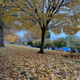 BOON BOONA COFFEE - Updated July 2025 - 604 Photos & 412 Reviews - 724 ...