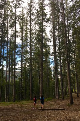 BULL TROUT LAKE CAMPGROUND - Updated April 2026 - Lowman, Idaho ...
