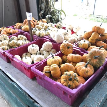 DAVIS FAMILY FARM - Updated December 2025 - 35 Photos & 15 Reviews ...