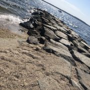 OAKLAND BEACH - 119 Photos & 54 Reviews - Oakland Beach Ave, Warwick ...