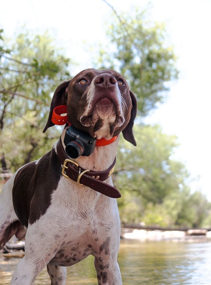 RIDGELINE PURSUIT GUIDE SERVICE - Updated September 2024 - 11 Photos ...