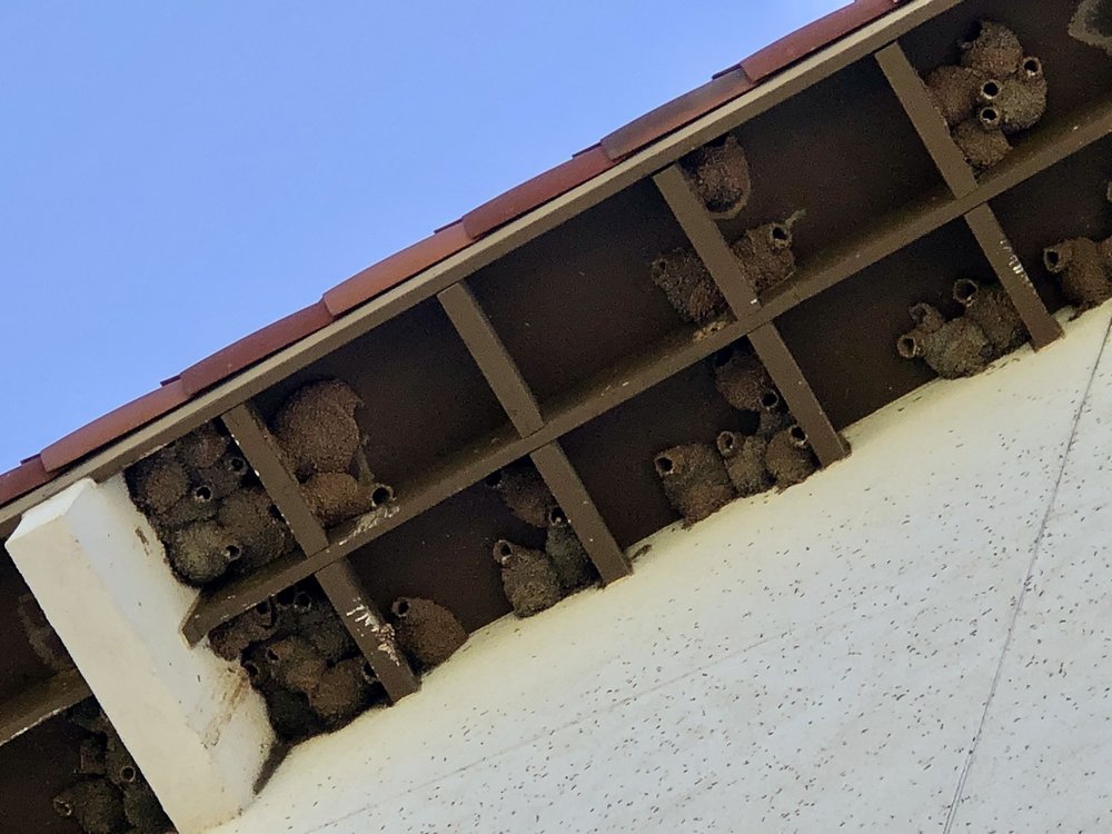 ORANGE TERRACE PARK - 15 Photos & 10 Reviews - Grove Community Dr ...