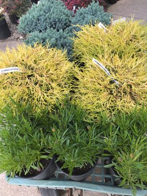 MARIA GARDENS CENTER - Updated July 2024 - 21 Photos & 33 Reviews ...