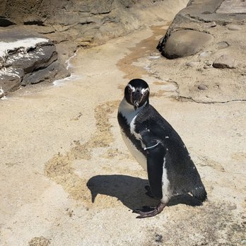 MESKER PARK ZOO & BOTANIC GARDEN - Updated October 2025 - 255 Photos & 43 Reviews - 1545 Mesker ...