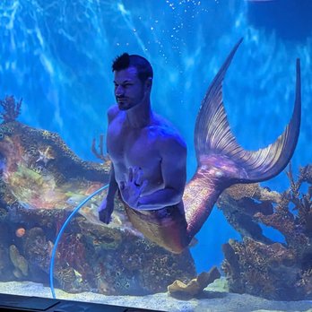 MERTAILOR’S MERMAID AQUARIUM ENCOUNTER - Updated May 2024 - 124 Photos ...