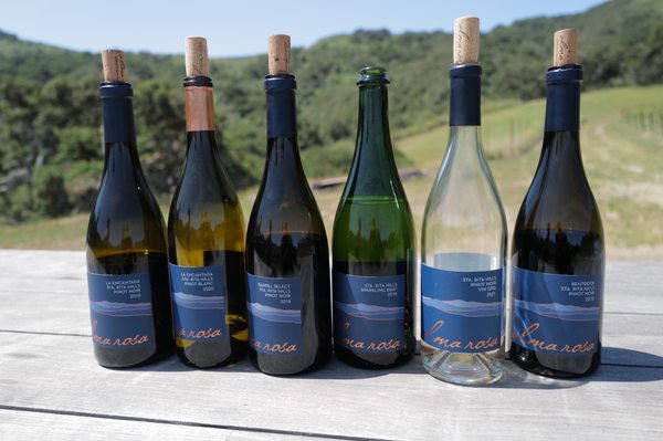 ALMA ROSA WINERY AND VINEYARDS - Updated August 2025 - 175 Photos & 219 ...