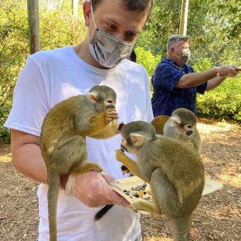 MONKEY JUNGLE - Updated July 2025 - 401 Photos & 211 Reviews - 14805 SW ...