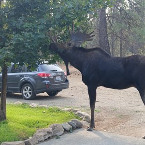 UGM MOTORS - Updated December 2025 - 11 Photos & 14 Reviews - 7103 E ...