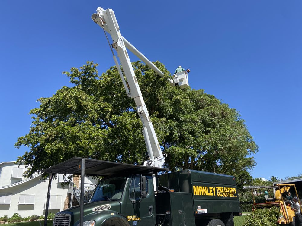 MANLEY TREE SERVICE - Updated December 2025 - 19 Photos - 1716 ...