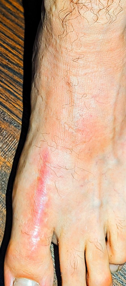 KAYAL ORTHOPAEDIC CENTER - Updated June 2025 - 37 Photos & 15 Reviews ...