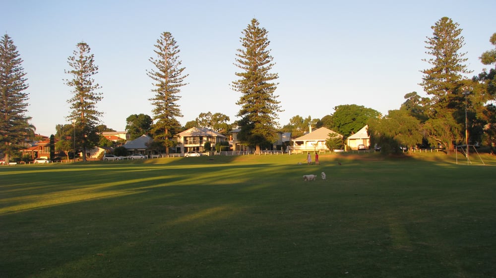 DAVIS OVAL - Updated January 2025 - Lochee St, Mosman Park Western ...