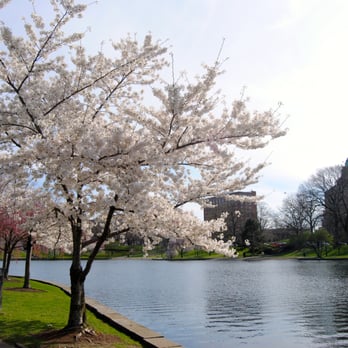 WADE PARK LAGOON - Updated October 2025 - 76 Photos & 19 Reviews ...