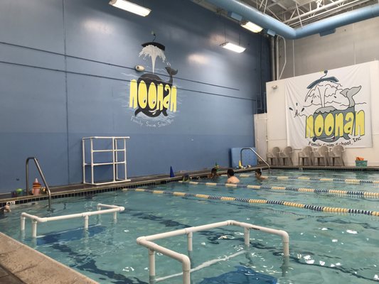 NOONAN FAMILY SWIM SCHOOL - 116 Photos & 117 Reviews - Swimming Lessons ...