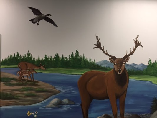 PM PEDIATRICS - Updated September 2025 - 29 Reviews - 6218 Jericho Tpke ...