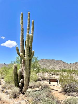 WHITE TANK LIBRARY - Updated December 2025 - 104 Photos & 43 Reviews ...