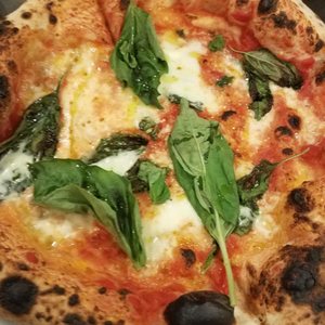 EMILIO’S WOOD FIRE PIZZA - 39 Photos & 24 Reviews - 170 Chestnut St ...