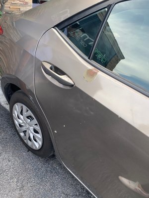 GREEN MOTION CAR AND VAN RENTAL - Updated December 2025 - 11 Photos ...