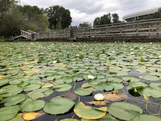 UW WATERFRONT ACTIVITIES CENTER - 87 Photos & 99 Reviews - Recreation ...