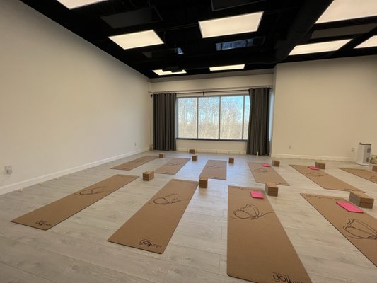 GOJI YOGA - Updated October 2025 - 31 Photos - 3475 Rebecca Street ...