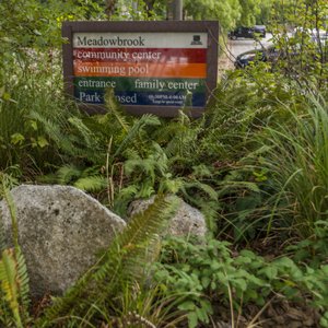 MEADOWBROOK POOL - Updated June 2025 - 10515 35th Ave NE, Seattle ...