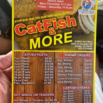 CATFISH & MORE - Updated February 2025 - 11 Reviews - 3800 S Lancaster ...