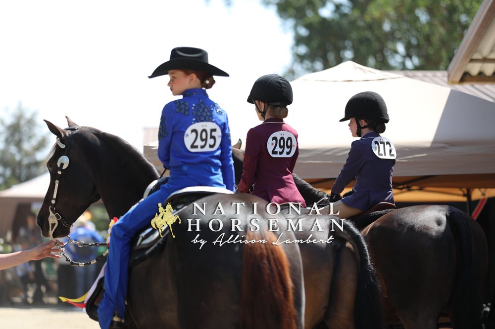GRAND FINALE STABLES - Updated April 2026 - 14565 Wolf Rd, Grass Valley ...