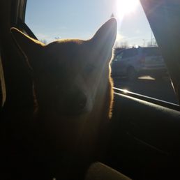 POTOMAC GROCER - Updated May 2025 - 27 Photos & 68 Reviews - 10107 ...