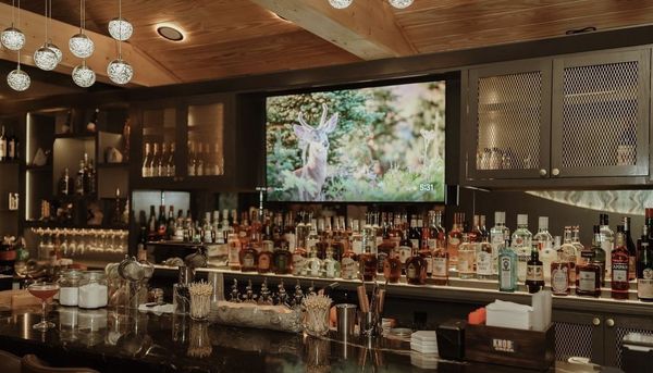 ELEVEN XI COCKTAIL LOUNGE - Updated August 2024 - 1213 Government St ...