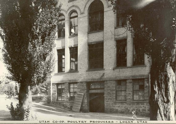 IFA COUNTRY STORE - LOGAN - Updated November 2024 - 29 Photos - 2250 N ...