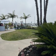 SALT RESTAURANT AND BAR - 1563 Photos & 1429 Reviews - 13534 Bali Way ...