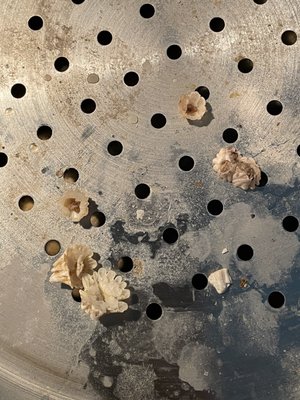 WEGMANS - Updated January 2026 - 687 Photos & 223 Reviews - 1200 Wake ...