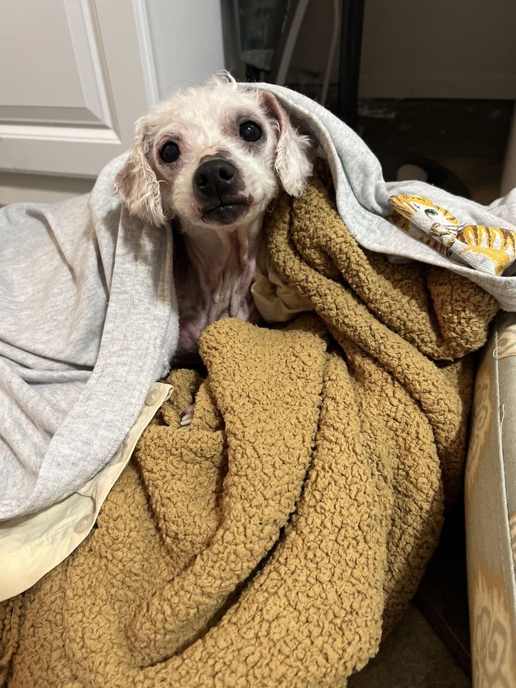 CONROE HAIR SALON - Updated October 2025 - 2017 N Frazier St, Conroe ...