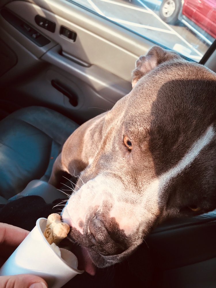 Red Runner Coffee, San Antonio | Roadtrippers