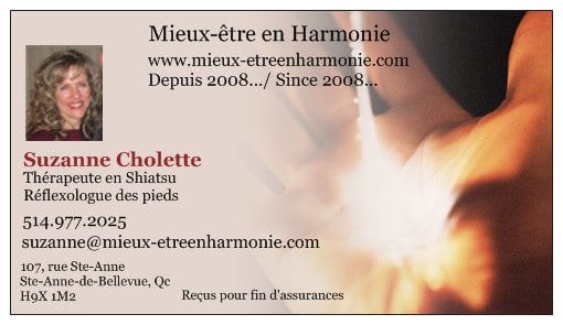 SUZANNE CHOLETTE - 107 Rue Saint Anne, Sainte-Anne-De-Bellevue, Quebec ...