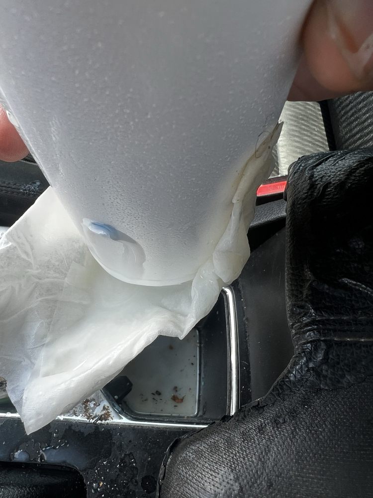 OASIS SNOWBALLS - Updated March 2026 - 20 Photos - 11204 Veteran ...