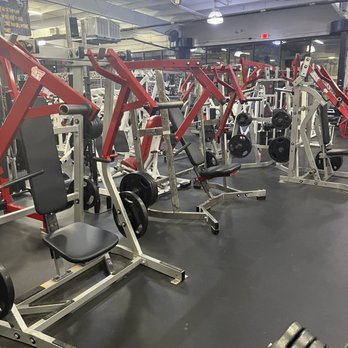 KISSIMMEE MUSCLE - Updated October 2025 - 103 Photos & 47 Reviews ...