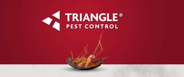 TRIANGLE PEST CONTROL - Updated October 2025 - 16 Photos & 11 Reviews ...