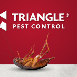 TRIANGLE PEST CONTROL - 11 Photos - 5104 Reagan Dr, Charlotte, North ...