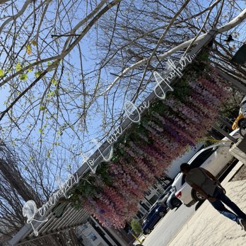 ELSEWHERE GARDEN BAR & KITCHEN - Updated June 2025 - 1041 Photos & 531 ...