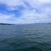 PUGET SOUND EXPRESS - 90 Photos & 35 Reviews - Whale Watching Tours ...