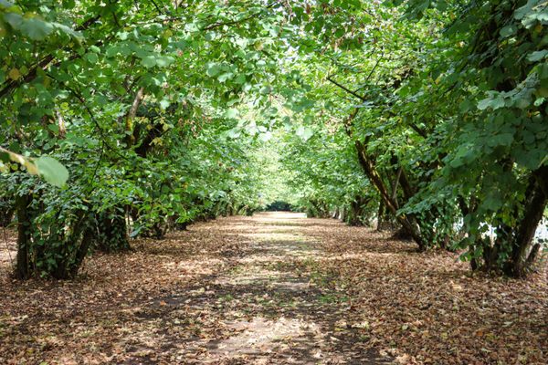 DORRIS RANCH - Updated July 2025 - 51 Photos & 15 Reviews - South 2nd ...