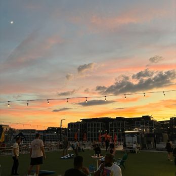 HI-LAWN - Updated December 2025 - 246 Photos & 81 Reviews - 1309 5th St ...