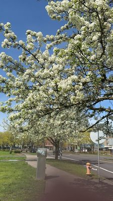 CASCADE STATION - Updated September 2025 - 42 Photos & 50 Reviews ...