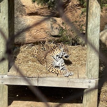 LITTLE ROCK ZOO - Updated September 2025 - 179 Photos & 72 Reviews - 1 ...
